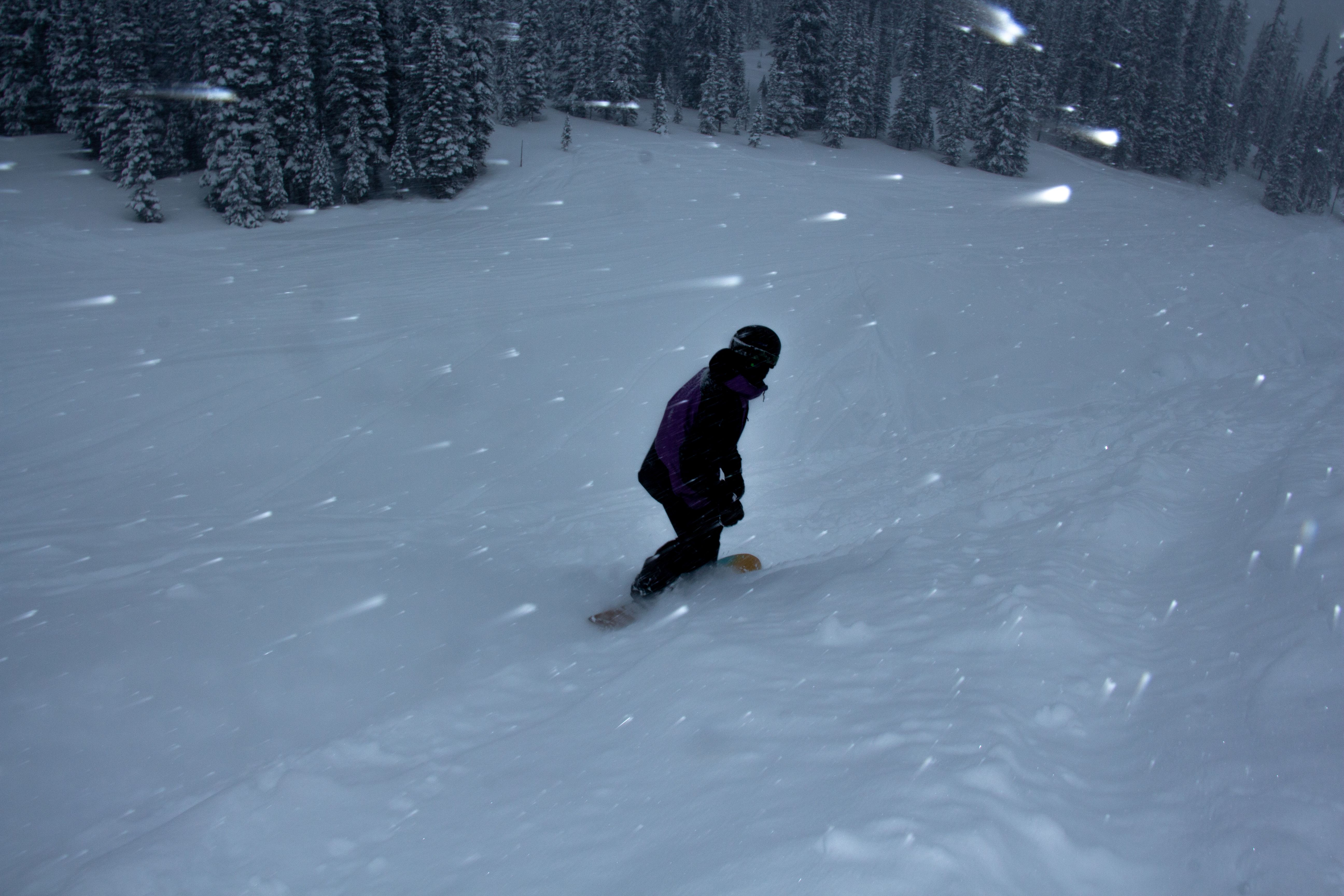 TELUS Learn to Snowboard Private Full Day Lesson: Level 1 (Age 3-12)